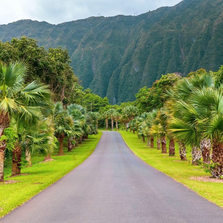 6 Best Botanical Gardens in O'ahu Hawaii - Turuhi