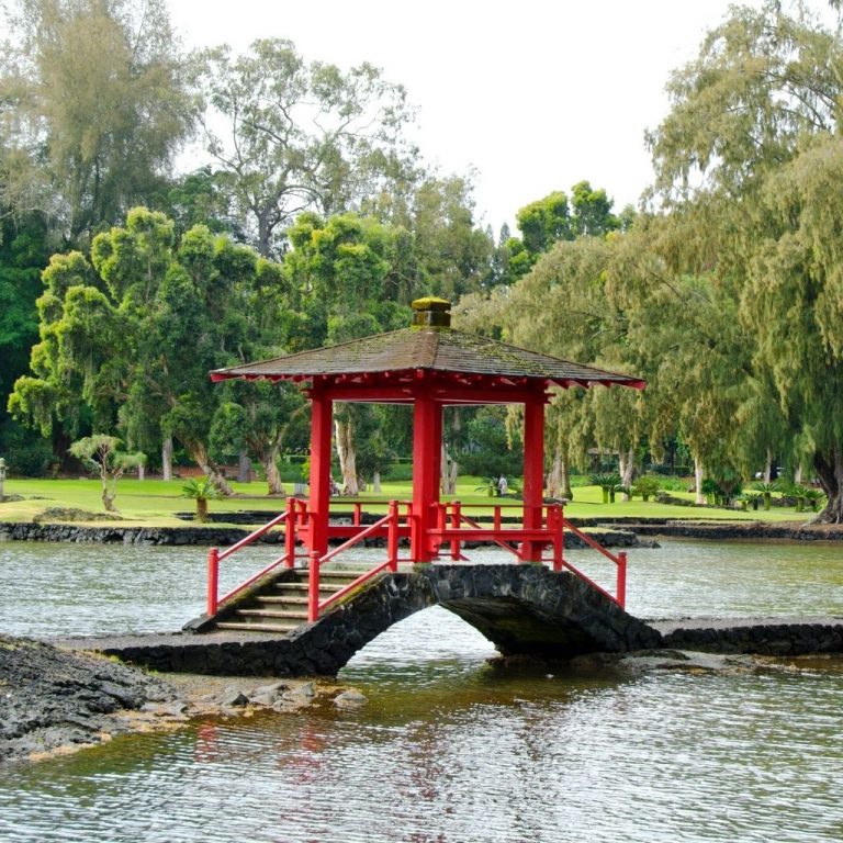 6 Best Botanical Gardens in O'ahu Hawaii - Turuhi