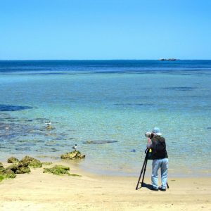 The Best Places to See Wildlife in Perth - Turuhi