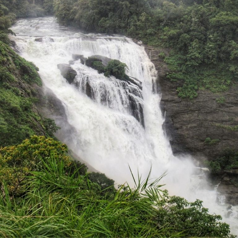 Why You Should Visit Coorg During the Monsoon - Turuhi