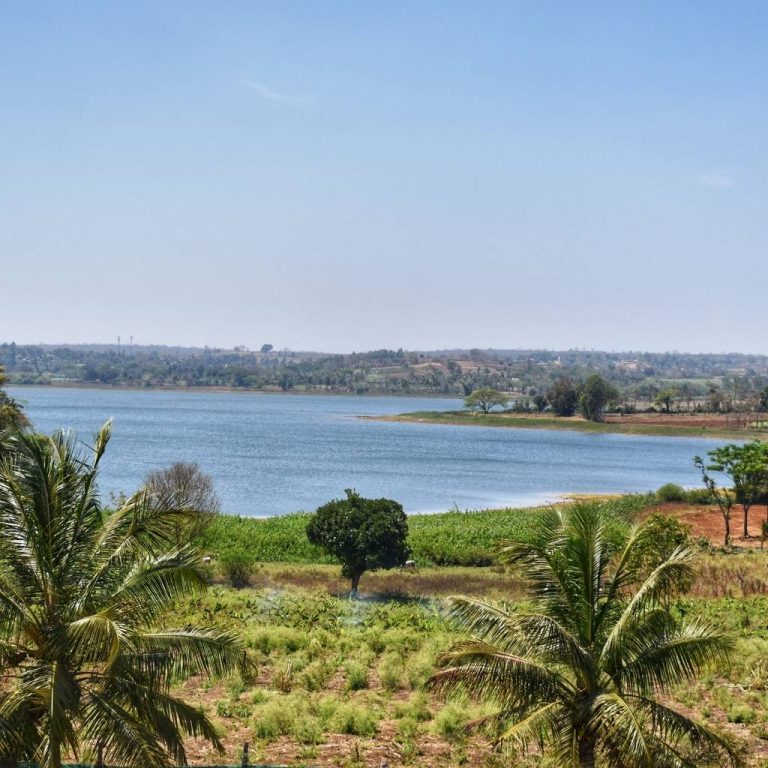 The Ultimate Guide to Kabini Safari - Turuhi