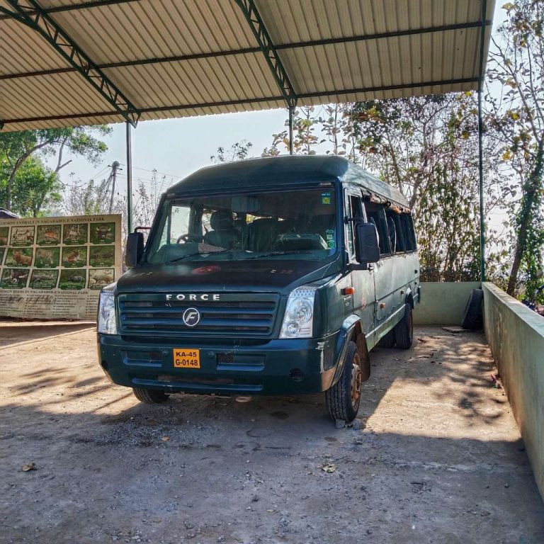 The Ultimate Guide to Kabini Safari - Turuhi