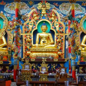 Travel Guides, Hidden Gems, and Authentic Experiences in Coorg